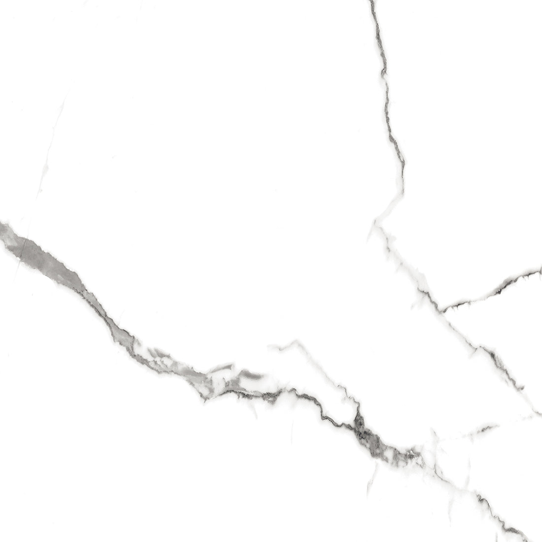 Athens 60 x 60 cm Grey polished Wall and Floor Tiles– ROSE TILES